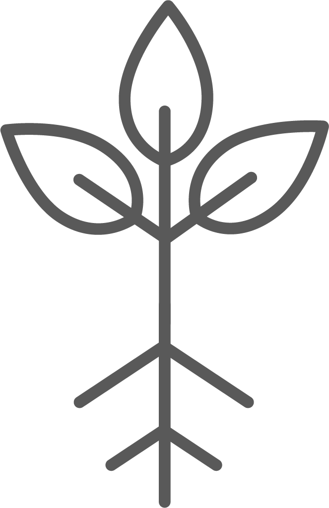 Foundational Wellness – Refresh Your Health, Reclaim Your Balance