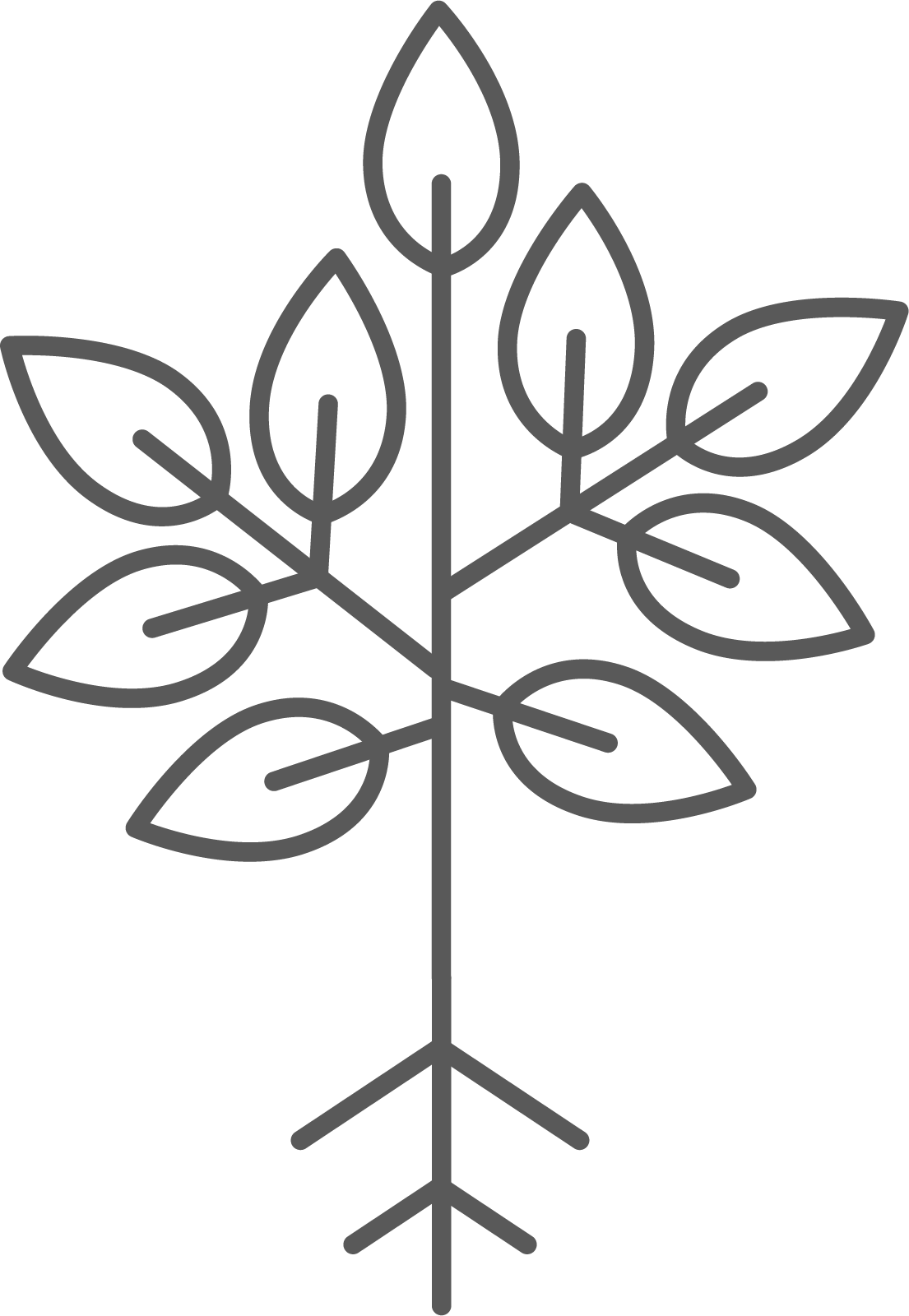 Foundational Wellness – Refresh Your Health, Reclaim Your Balance